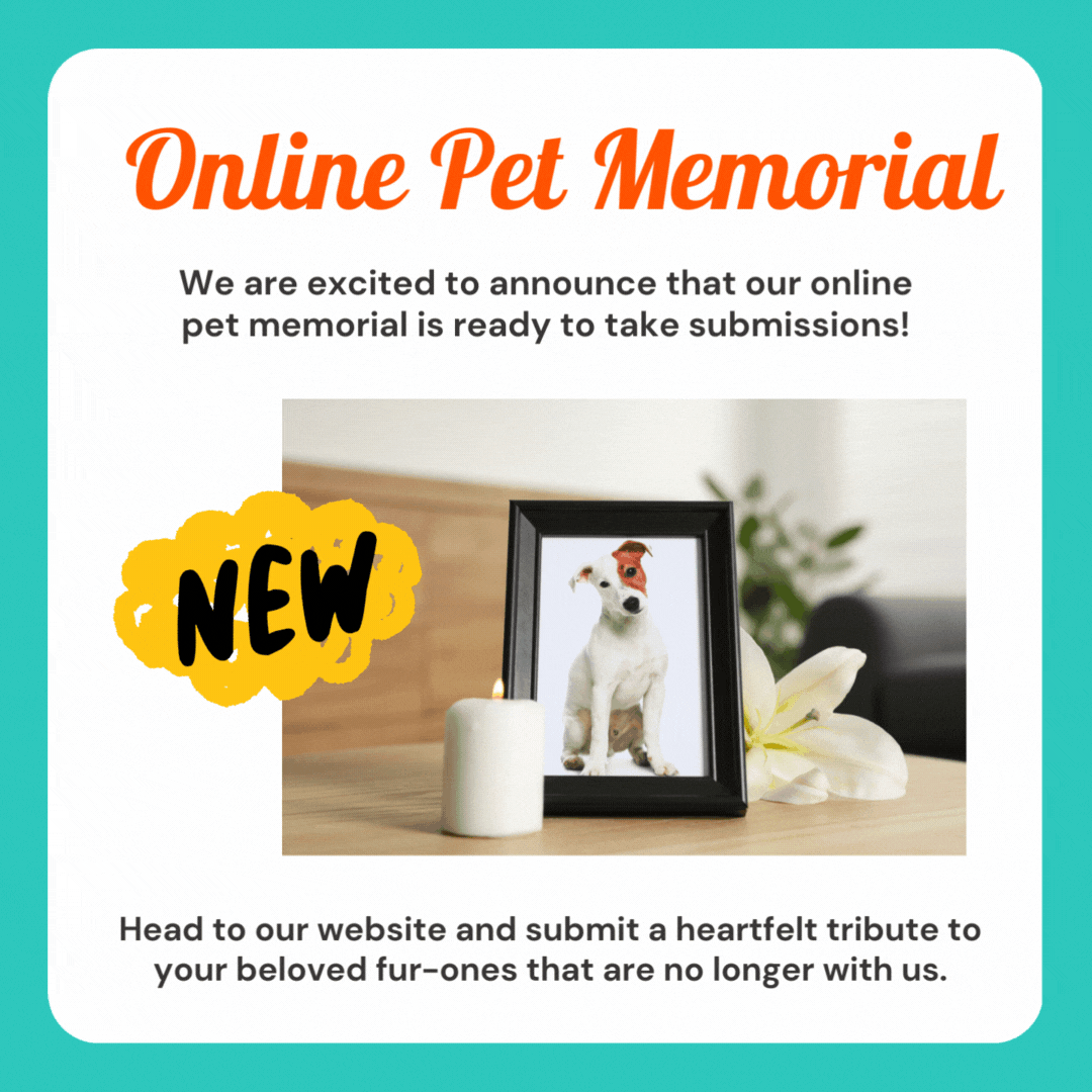 Pet Memorial - Paws for Talk Pet Memorial - Paws for Talk