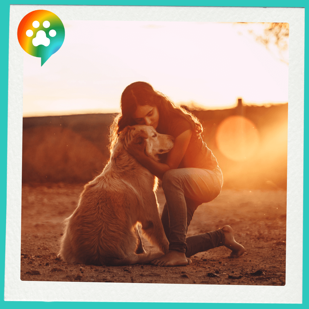 How to Know When It’s Time: A Guide to Pet Euthanasia & Saying Goodbye